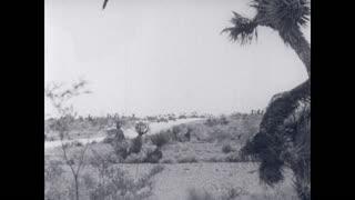 28072 1953 CIVIL DEFENSE FILM OPERATION DOORSTEP NEVADA ATOMIC BOMB ...
