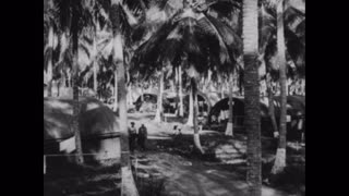 42264 U.S. NAVAL HOSPITAL AT ESPIRITU SANTO MALARIA WWII PACIFIC ...
